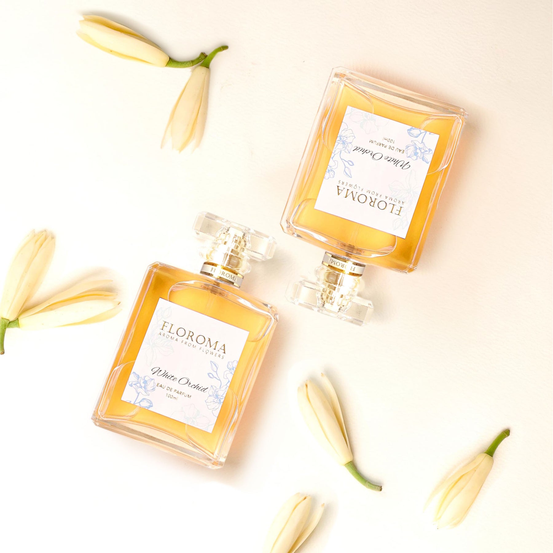 White Orchid Perfume《Trueself》 – Floroma 花之滴