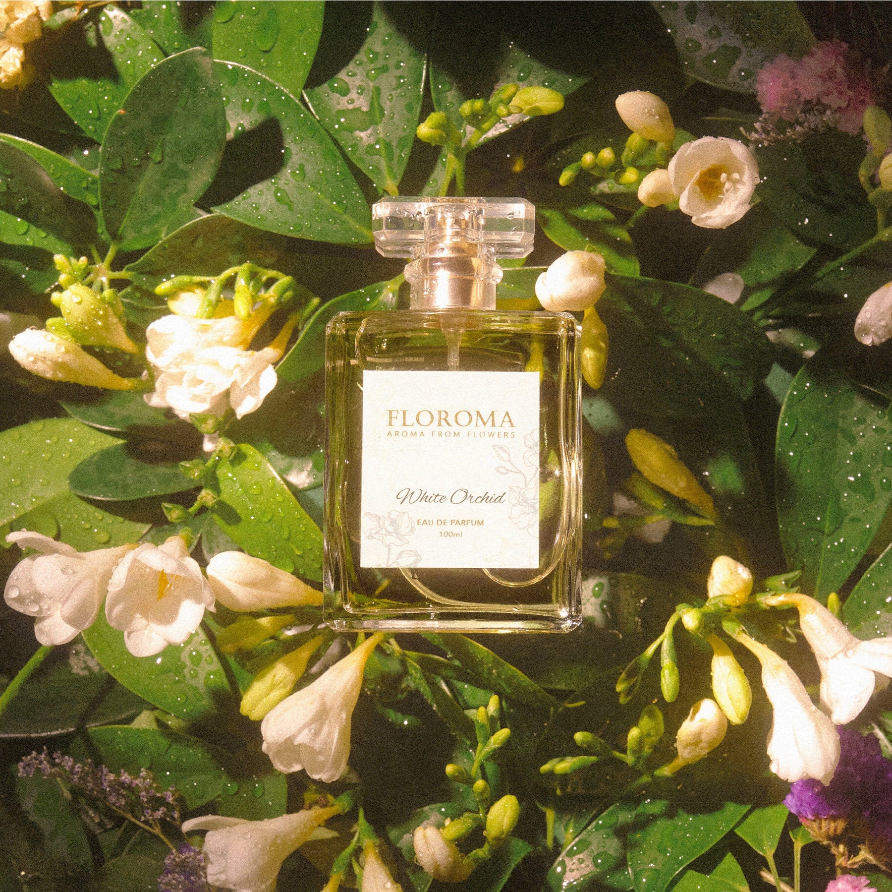 White Orchid Perfume《Trueself》 – Floroma 花之滴